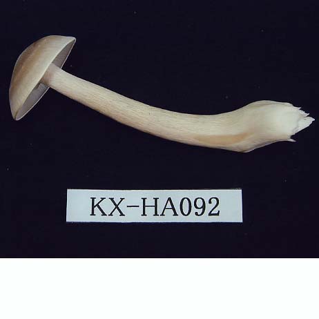 品種登録迅速化総合電子化システム