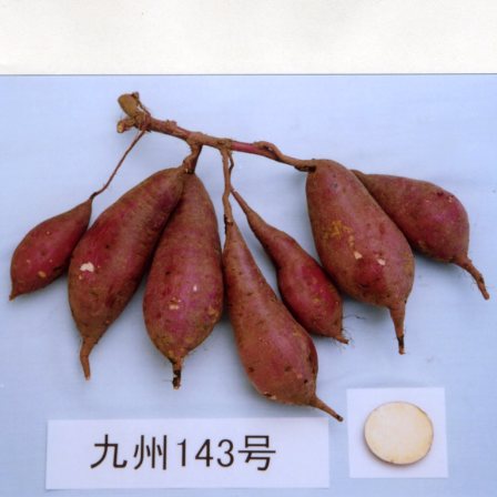 品種登録迅速化総合電子化システム