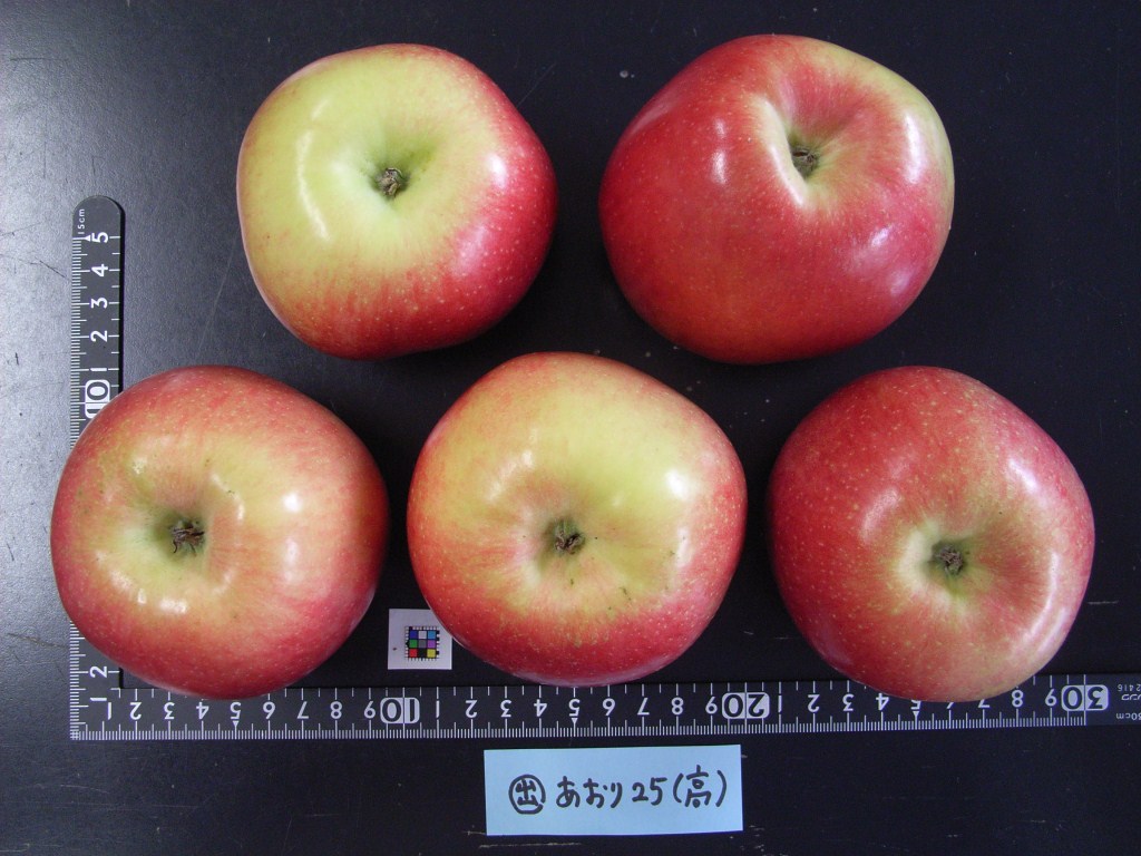 品種登録迅速化総合電子化システム