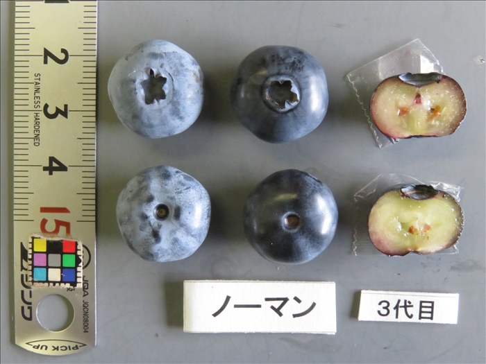 品種登録迅速化総合電子化システム