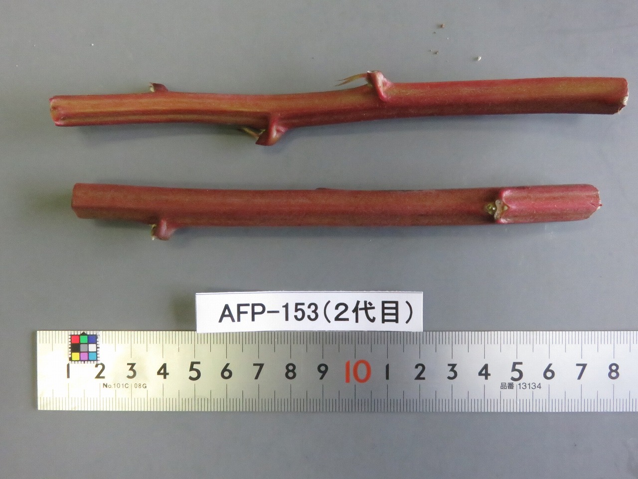 品種登録迅速化総合電子化システム