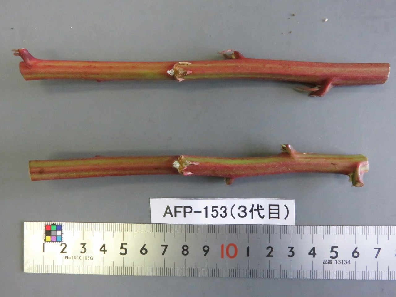 品種登録迅速化総合電子化システム