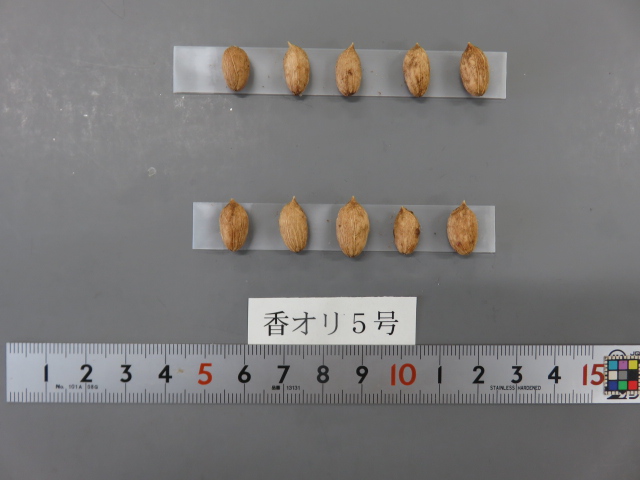 品種登録迅速化総合電子化システム