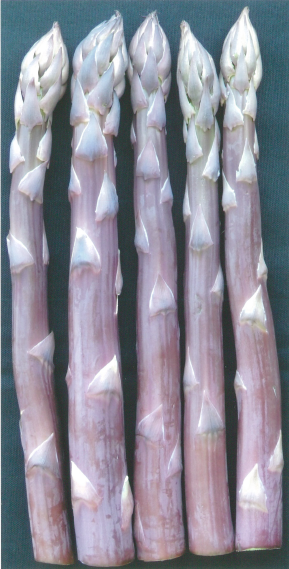 品種登録迅速化総合電子化システム